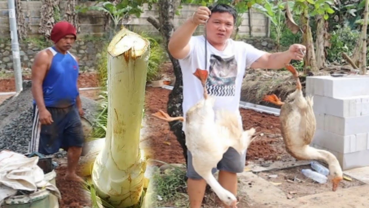 MASAK ANGSA 2 EKOR LALAPAN BATANG KELAPA MENTAH | Extreme Food # ...