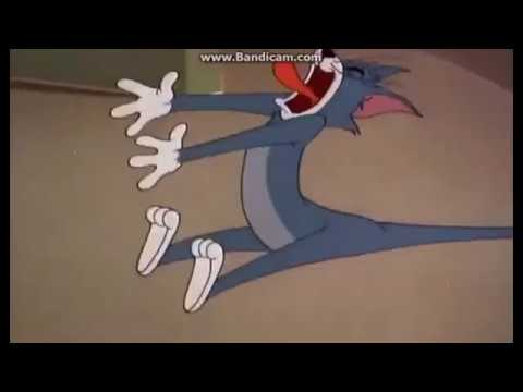 TOM AND JERRY SCREAM COMPILATION BUT SCREAMS WERE REPLACED WITH MOANING SOUNDS XDDDD