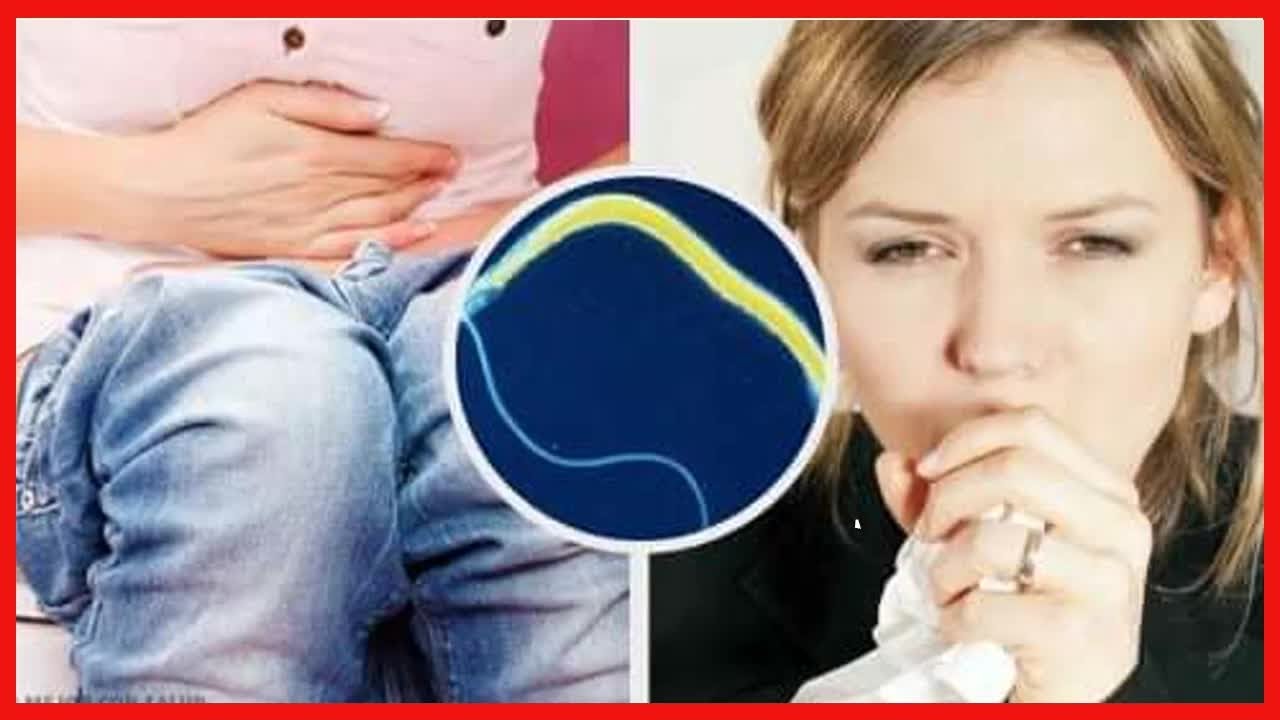 6 symptômes des vers intestinaux - YouTube