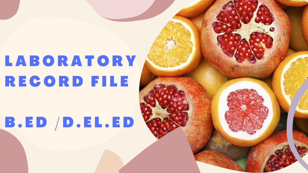 laboratory file / B.ed laboratory file/ B.ed internship laboratory file ...