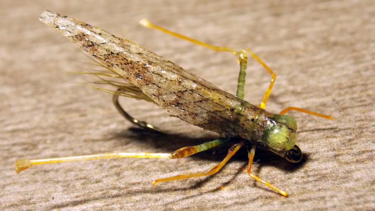 Tying Grasshopper Patterns