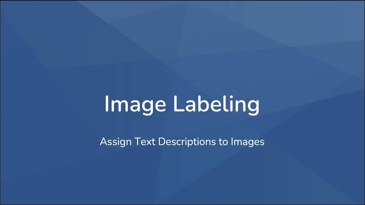 How To Label Images In Reveal Review YouTube how-to-label-images-in-reveal-review-youtube