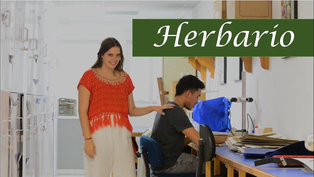 Herbario Jerzy Rzedowski - YouTube