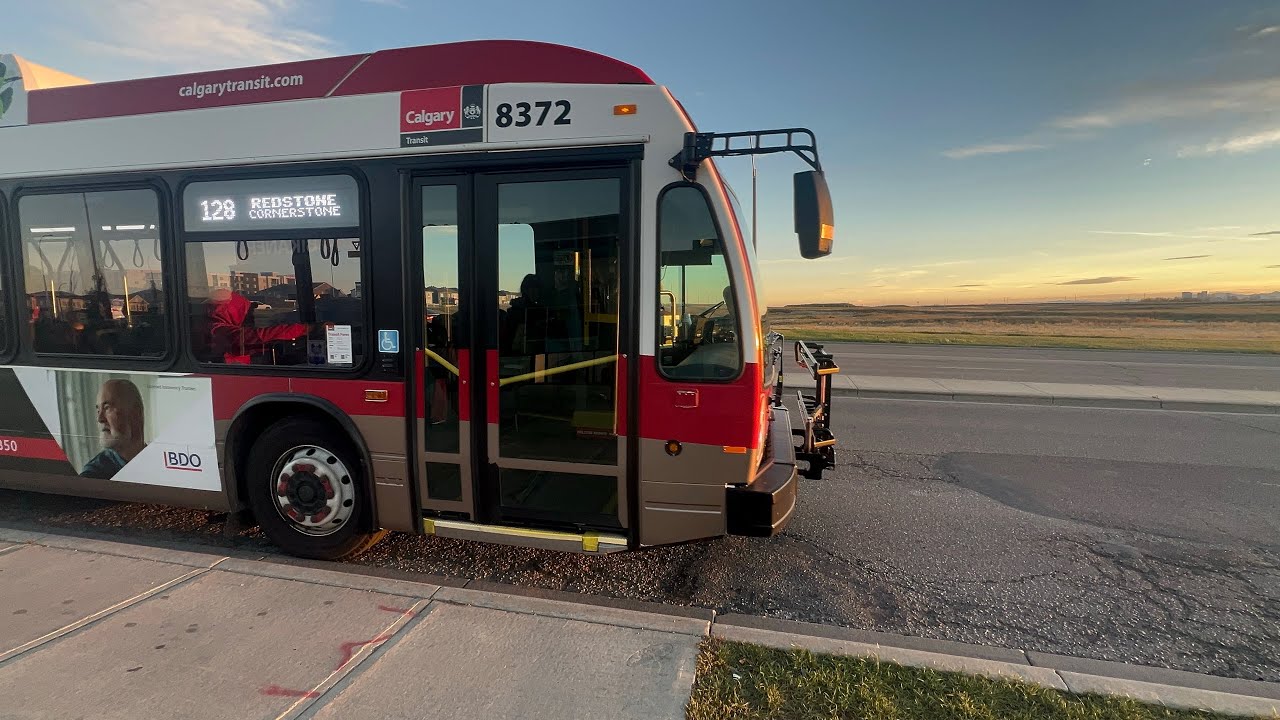Calgary Transit Bus 8372||128 Redstone Via Cornerstone - YouTube
