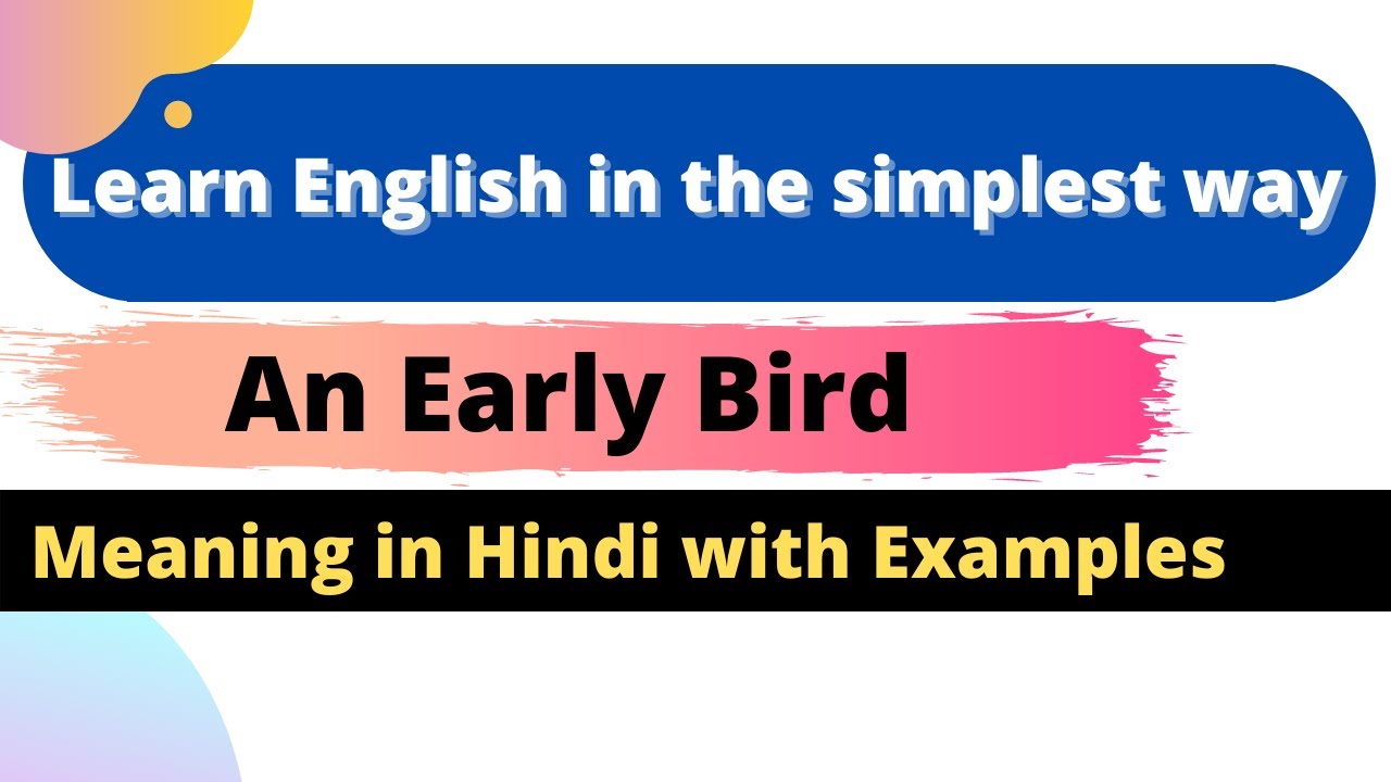 An Early Bird Meaning Of Phrase An Early Bird In English Meaning Of An Early Bird Meaning Of Phrase An Early Bird In English Meaning Of