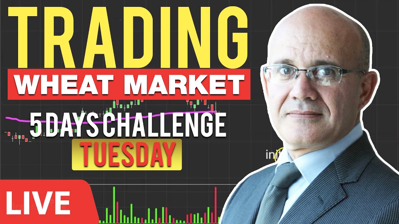 Trading WHEAT Market LIVE - 5 Days Challenge - Tuesday - YouTube