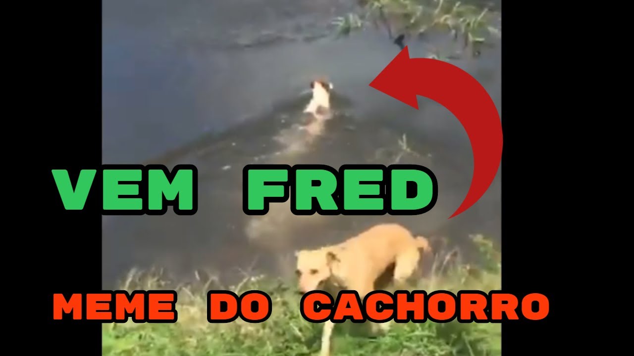 fred cachorro, meme do fred - YouTube