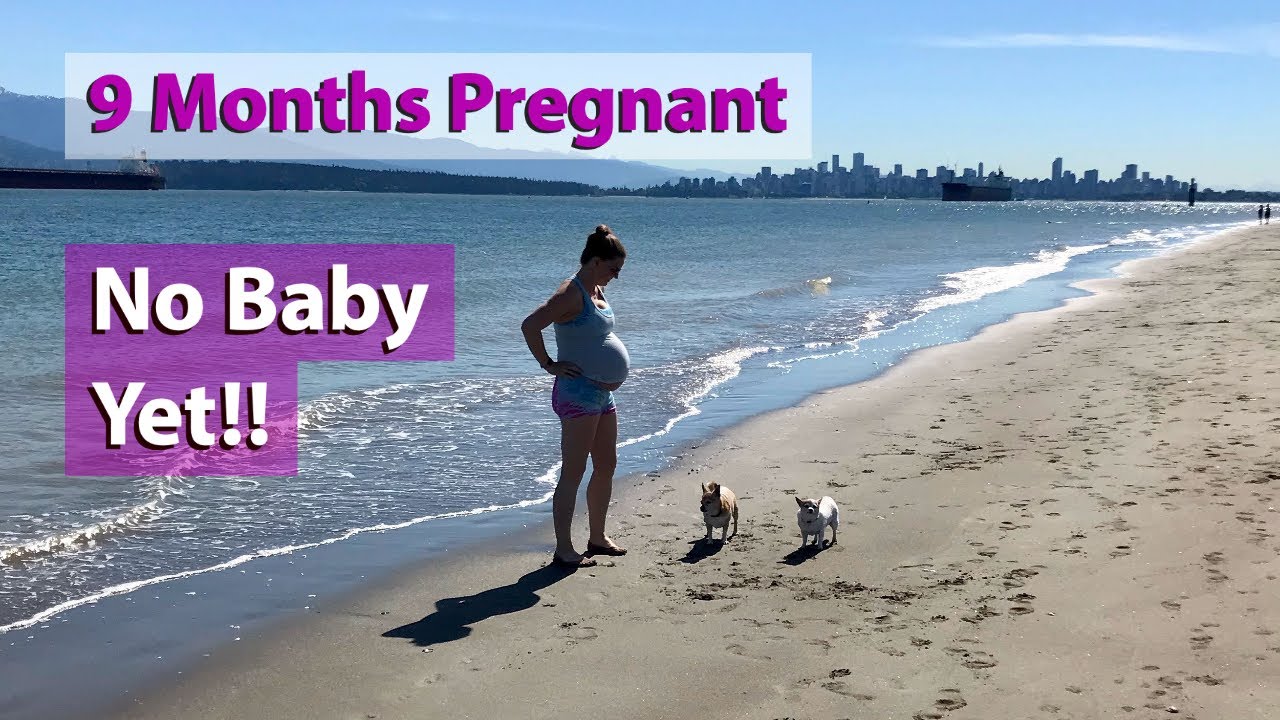 No Baby Yet!! (9 Months Pregnant) - YouTube