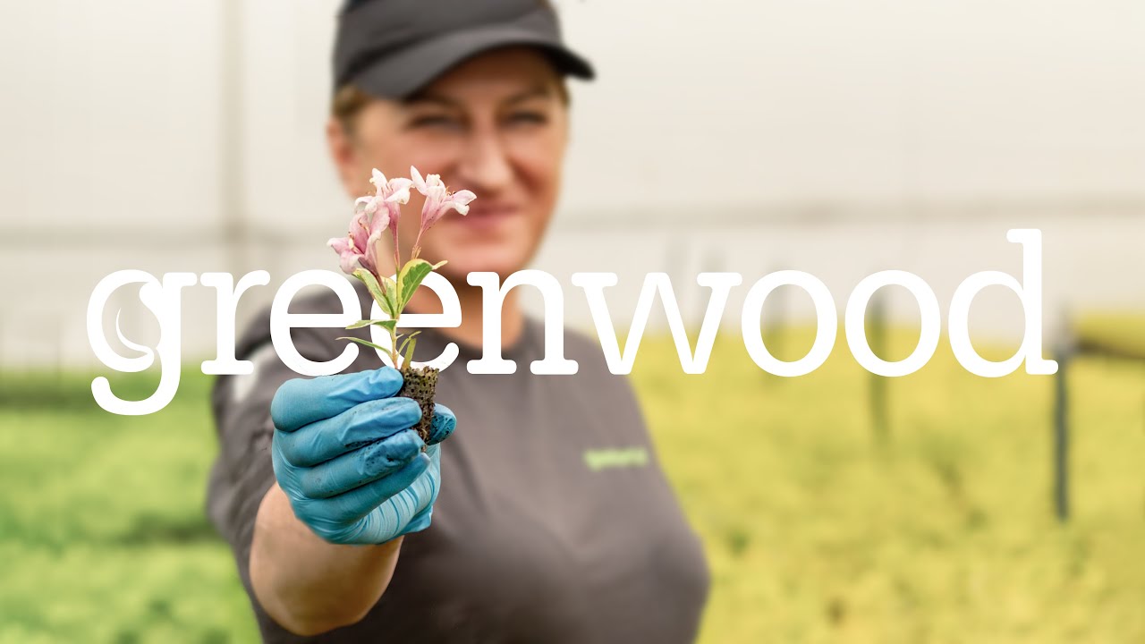 Every Plant Matters | Greenwood Plants - YouTube