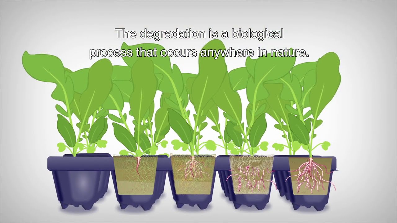 ANIMATION: The biodegradation of the Growcoon explained - YouTube