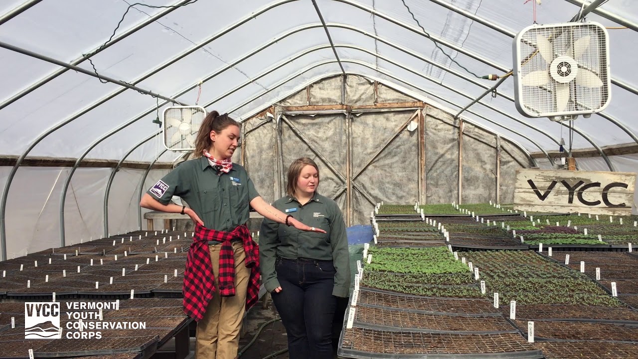 FAQ Friday What's Happening On The Farm at VYCC - YouTube