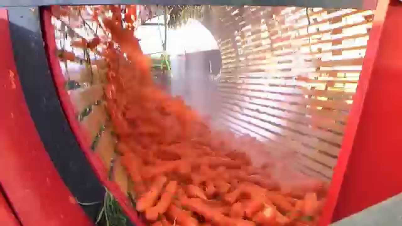 Wortelwasser - Lavage de carotte - Carrot cleaner - YouTube