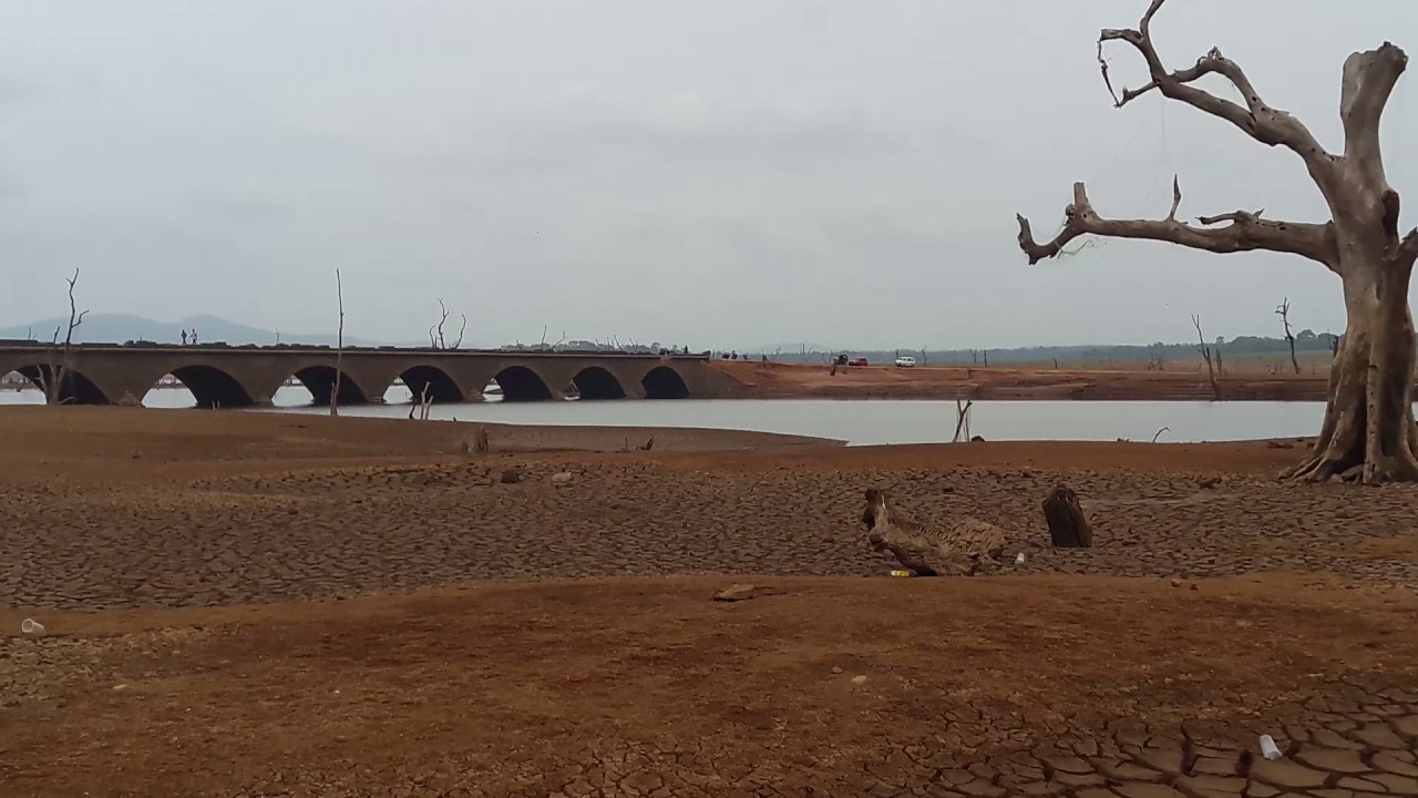 TADASA BRIDGE BRIDGE.... - YouTube