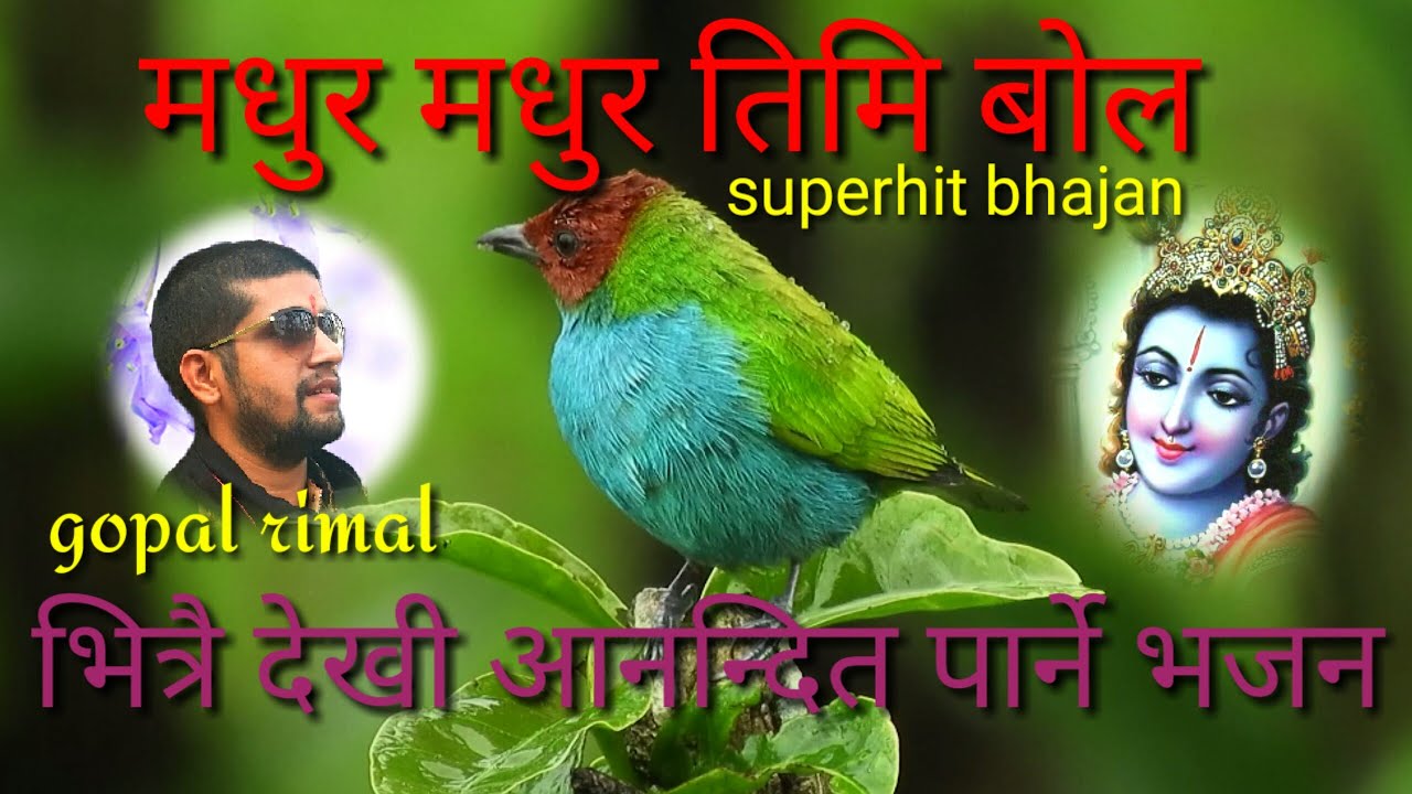 मन पन्छी रे मधुर मधुर तिमि बोल।सारै नै मिठो सुनि रहौ लाग्ने कृष्ण भजन ...