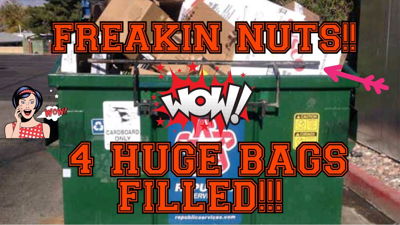 OMG!! FREAKIN NUTS!! 4 HUGE BAGS DUMPSTER DIVING! FEBRUARY 2021 - YouTube