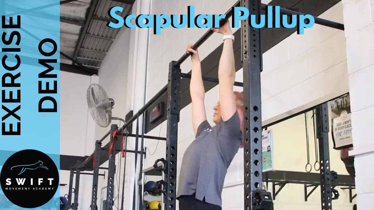 How To Do a Scapular Pull Up - YouTube