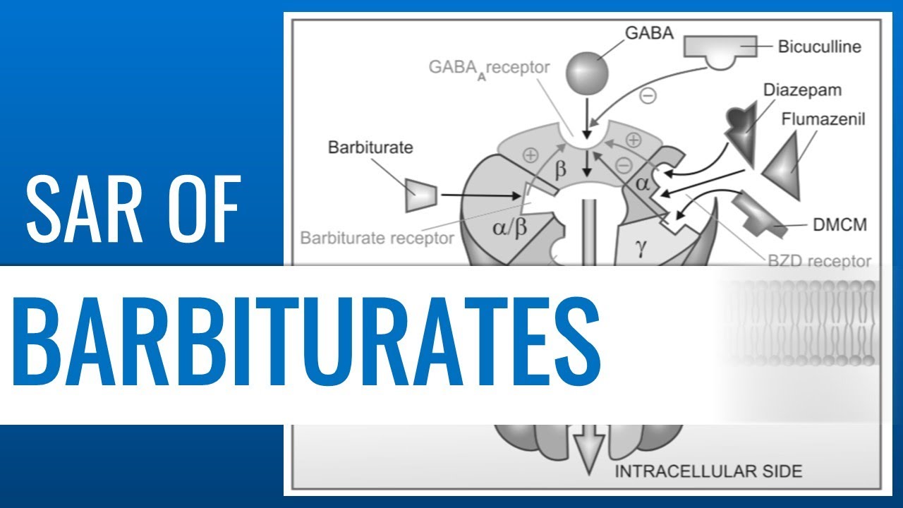 SAR of Barbiturates | Sedatives and hypnotics | Medicinal Chemistry ...