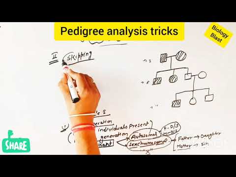 Tricky pedigree analysis #easy trick for pedigree chart / class 12 ...