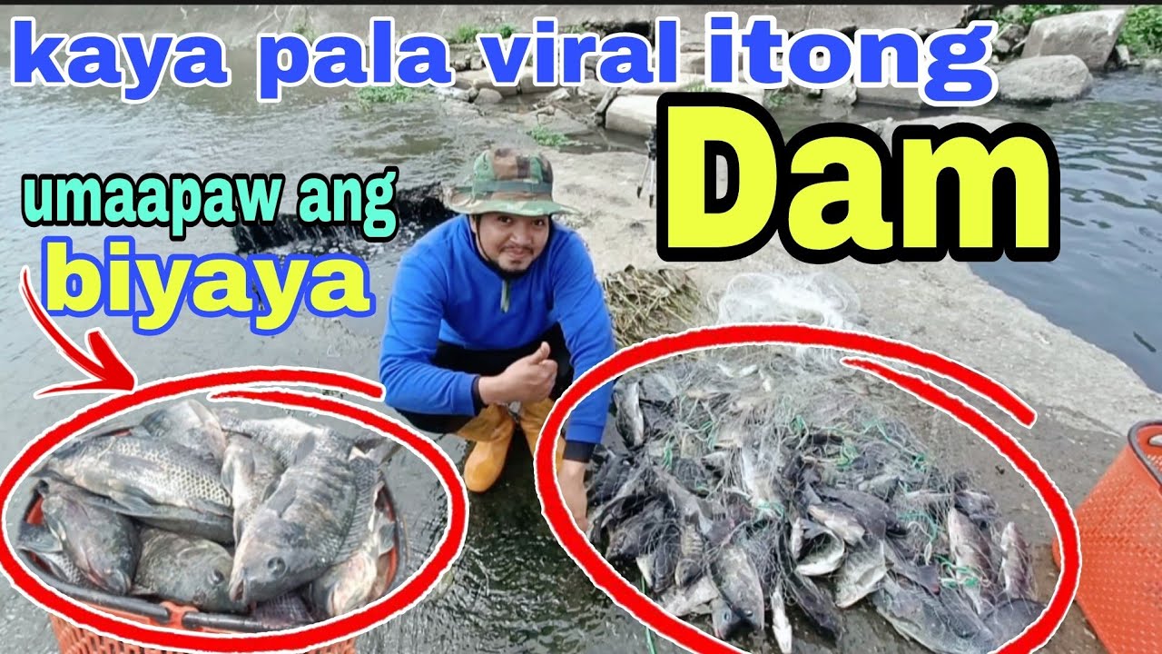 catch & cook:ginisang mongo overload.taiwanese napatulong pa sa pagluto ...