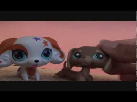 Lps New Lps Review (Both Pros and Cons.) - YouTube