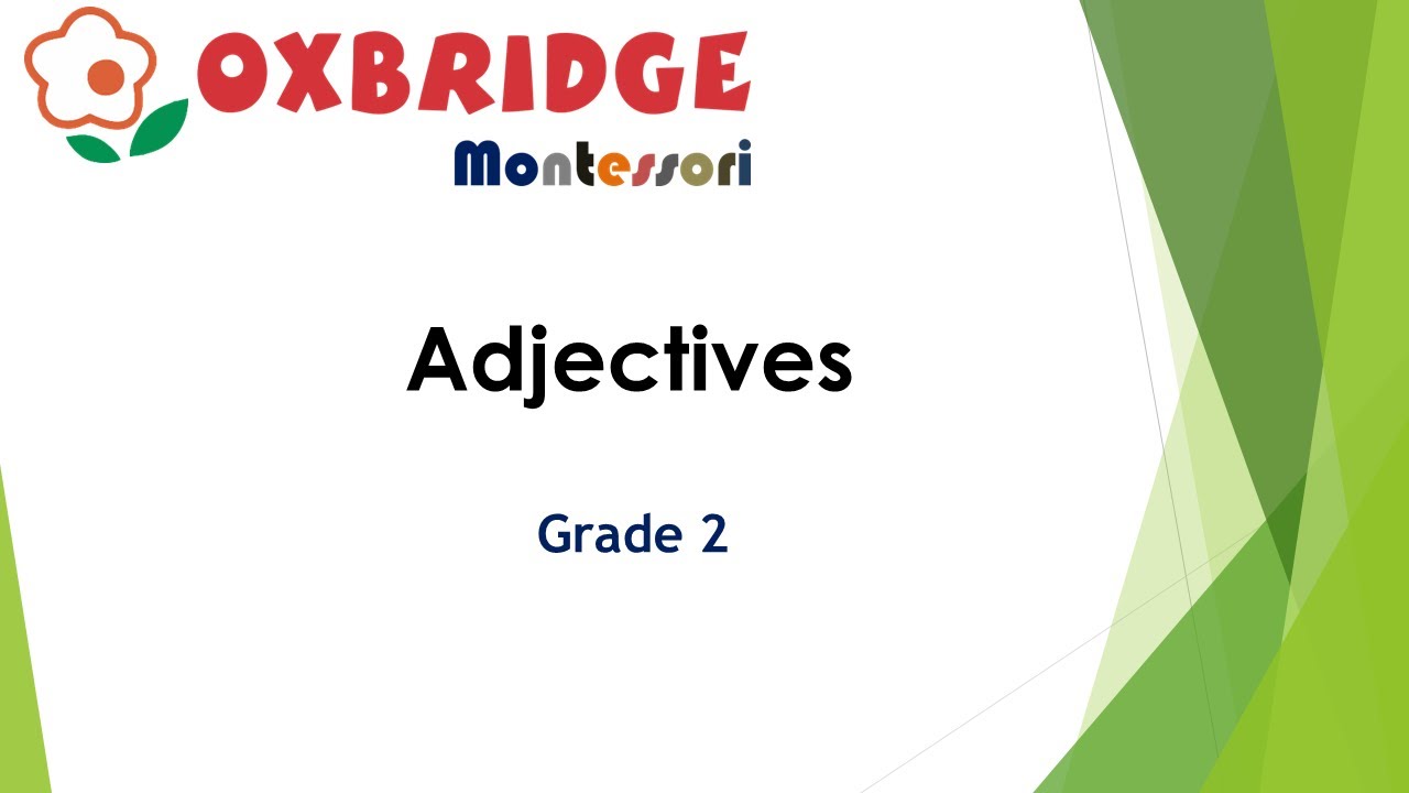 English Grammar | Adjectives | Grade 2 | Nelson Grammar - YouTube