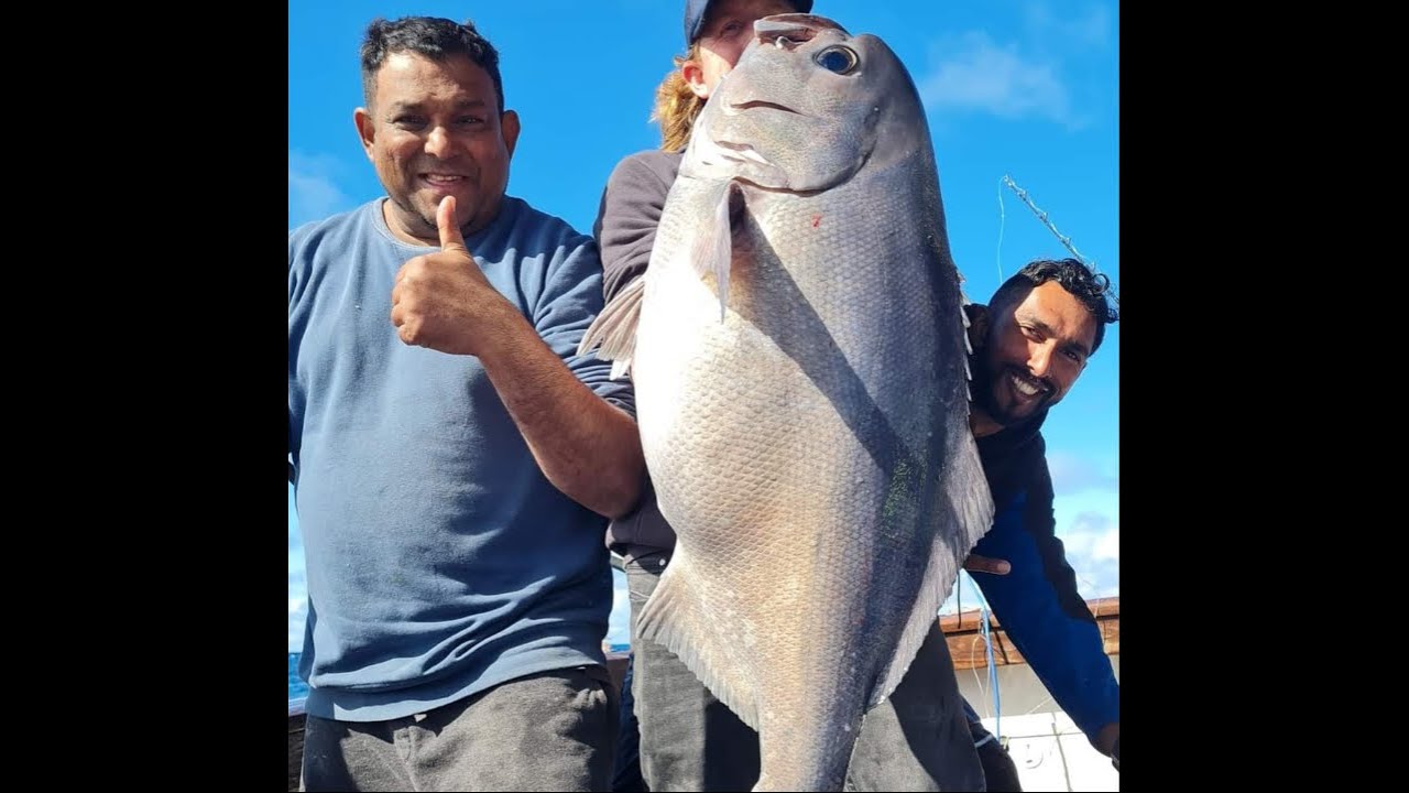 DEEP SEA FISHING NZ.... Deep drops for bluenose - YouTube