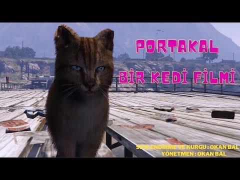 Portakal - Bir Kedi Filmi (Gta V) 4K