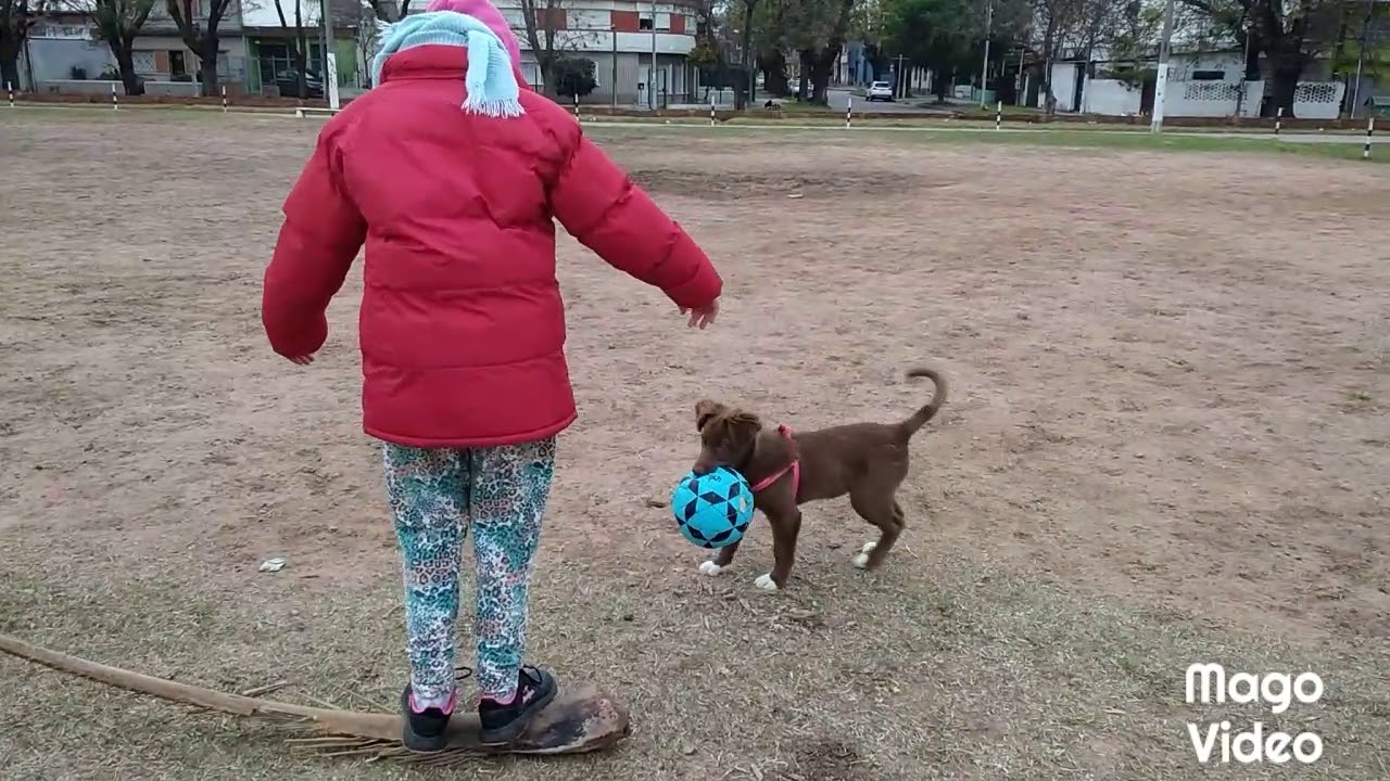 Jugando en la plaza Cande y Lara la cachorrita - YouTube