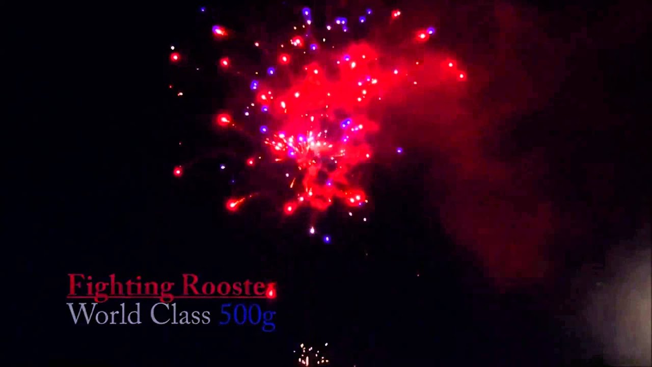 Fighting Rooster World Class Firework 500g 30 Shots - YouTube