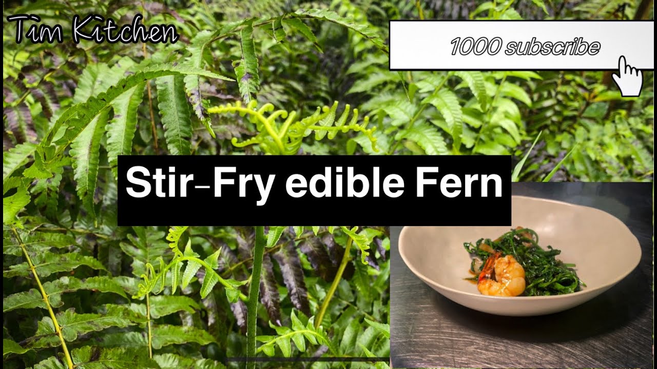 How to make stir fry edible fern - YouTube