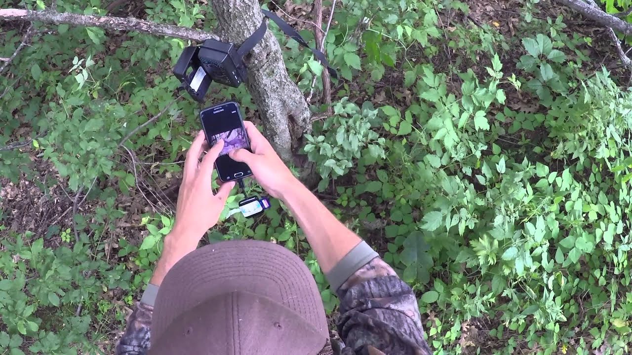 BoneView - Check trail cam photos with your phone! - www.boneview.com ...