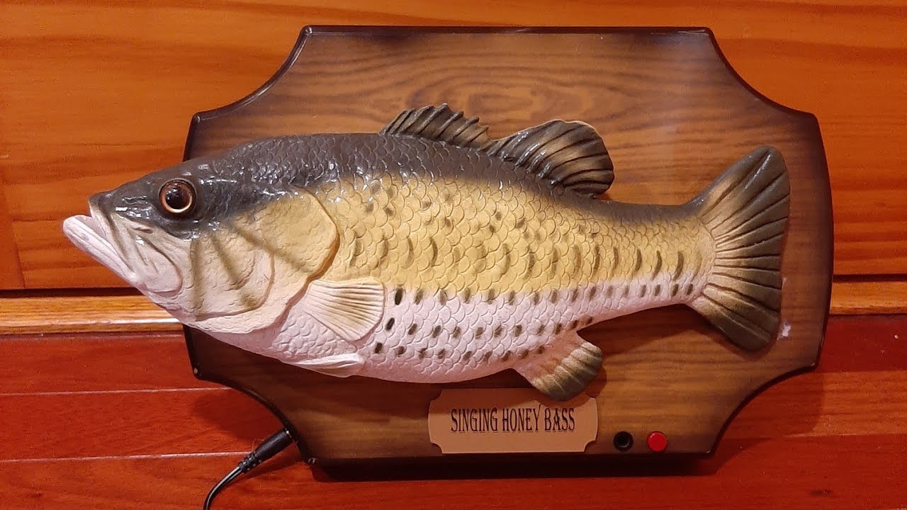 Singing Honey Bass (Gen 1) Singing Fish - YouTube