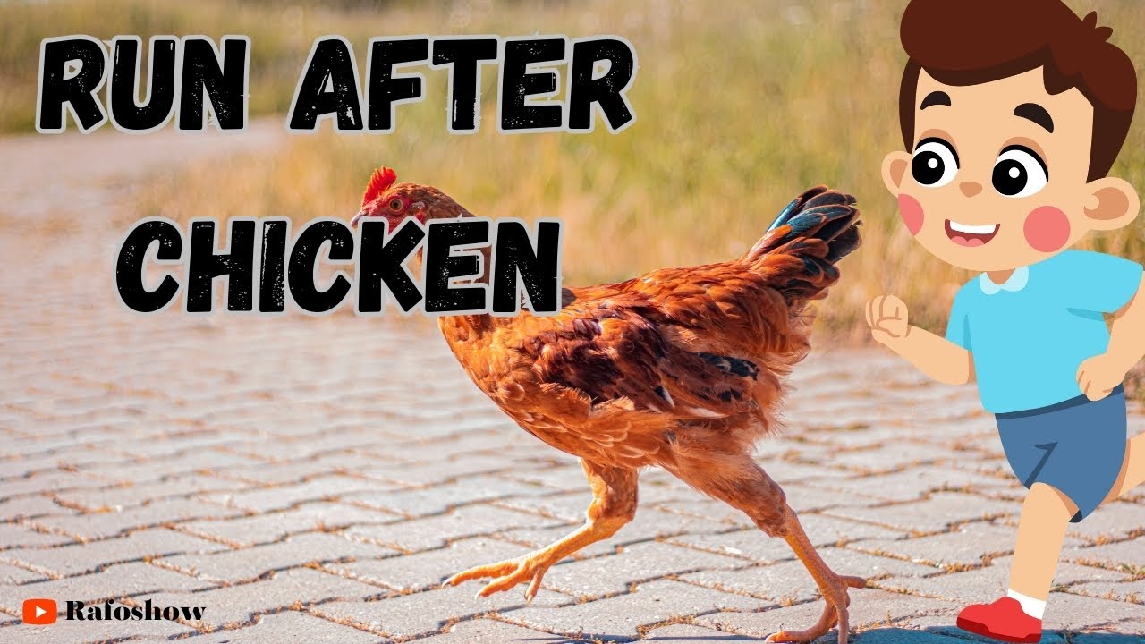 Chicken Chasing Children |Running After Chicken |Funny Chiken Chasing ...