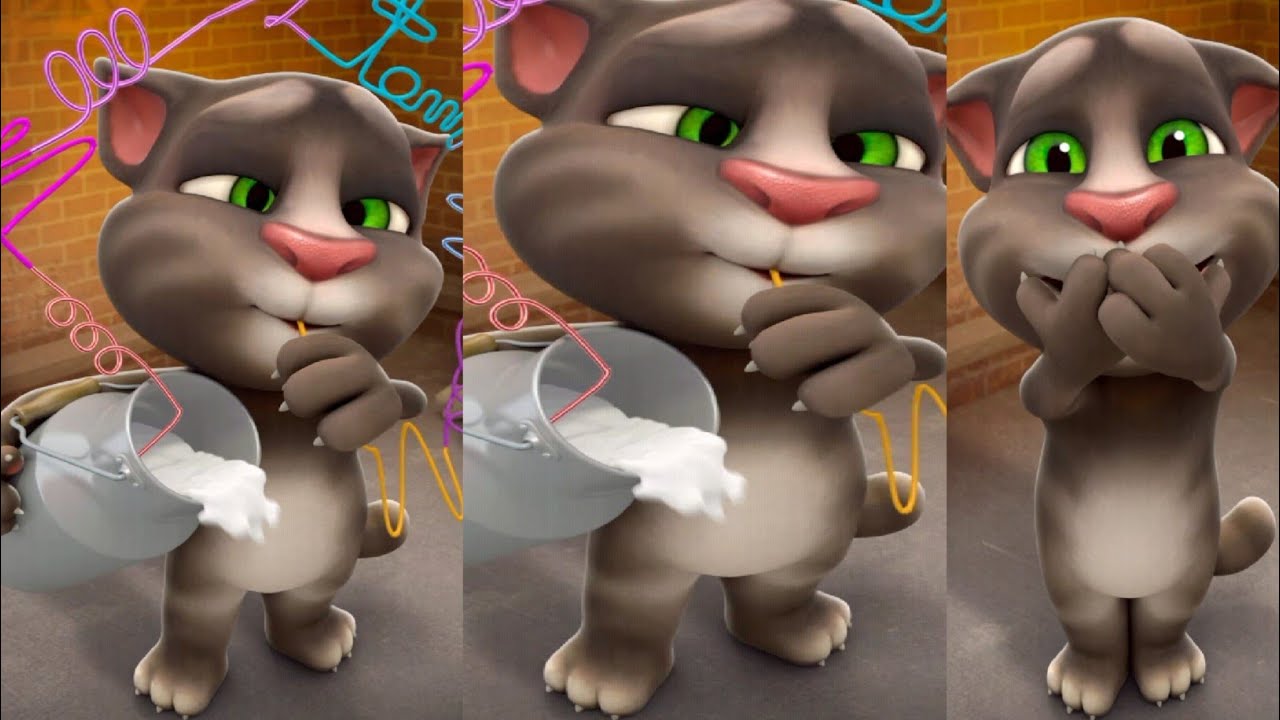 talking Tom cat's drinking milk, #funny_cats_video #talkingtomfunnycat - YouTube