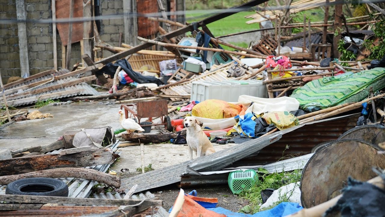 Typhoon Rolly Aftermath Naga City Bicol Philippines 1 of 2 - YouTube