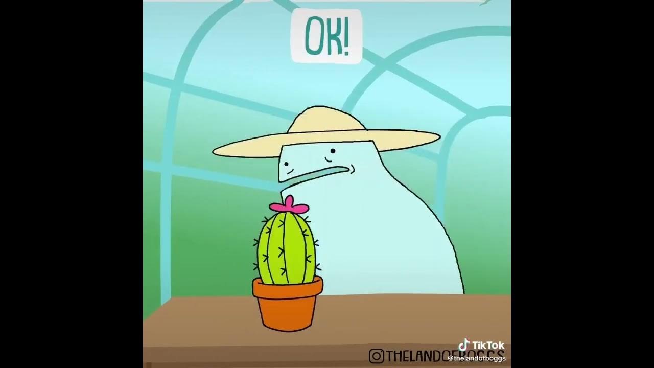 Tiktok Thelandofboogs 1-30-2020 to 3-2-2020 - YouTube