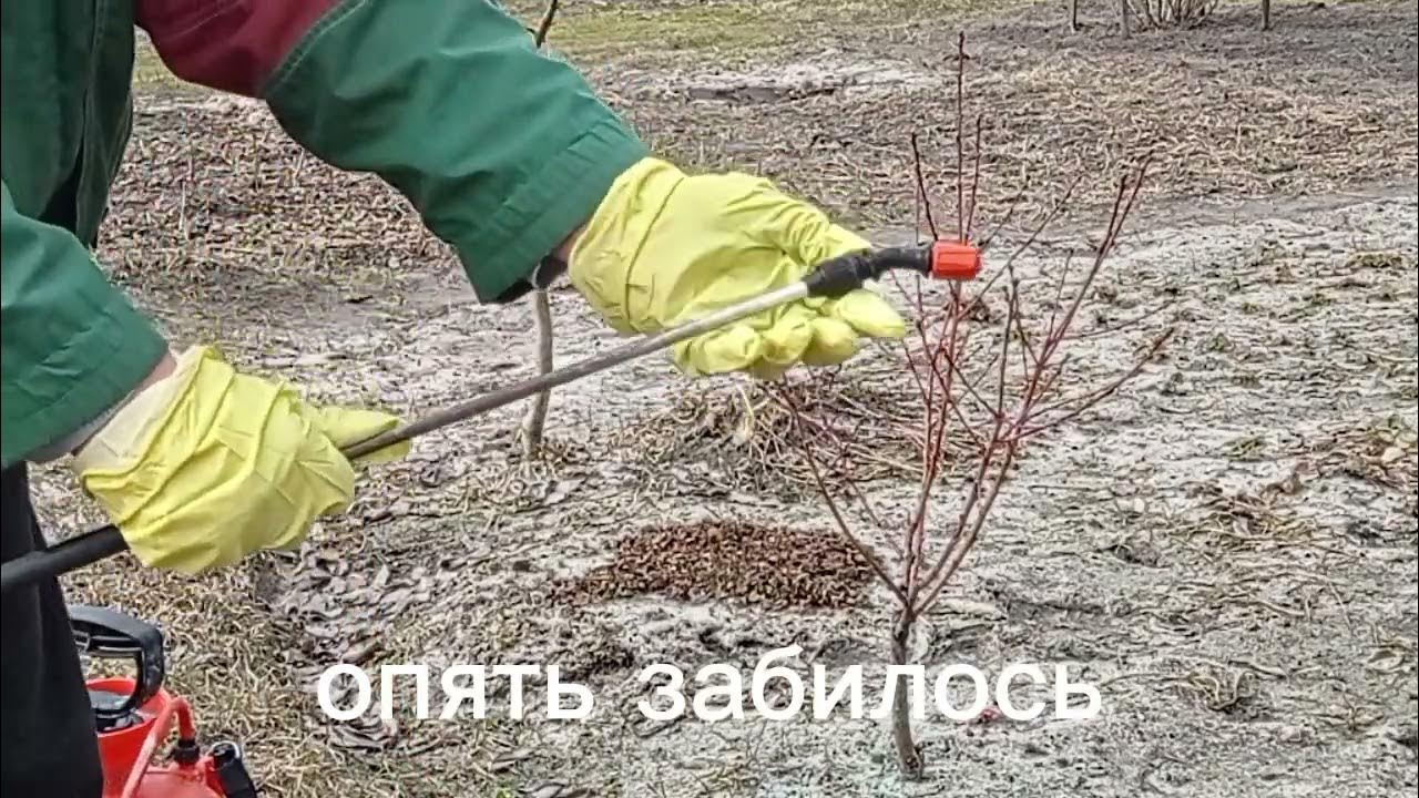 БУРГУНДСКАЯ СМЕСЬ. ПОЧЕМУ ТАК ПОЛУЧИЛОСЬ... - YouTube