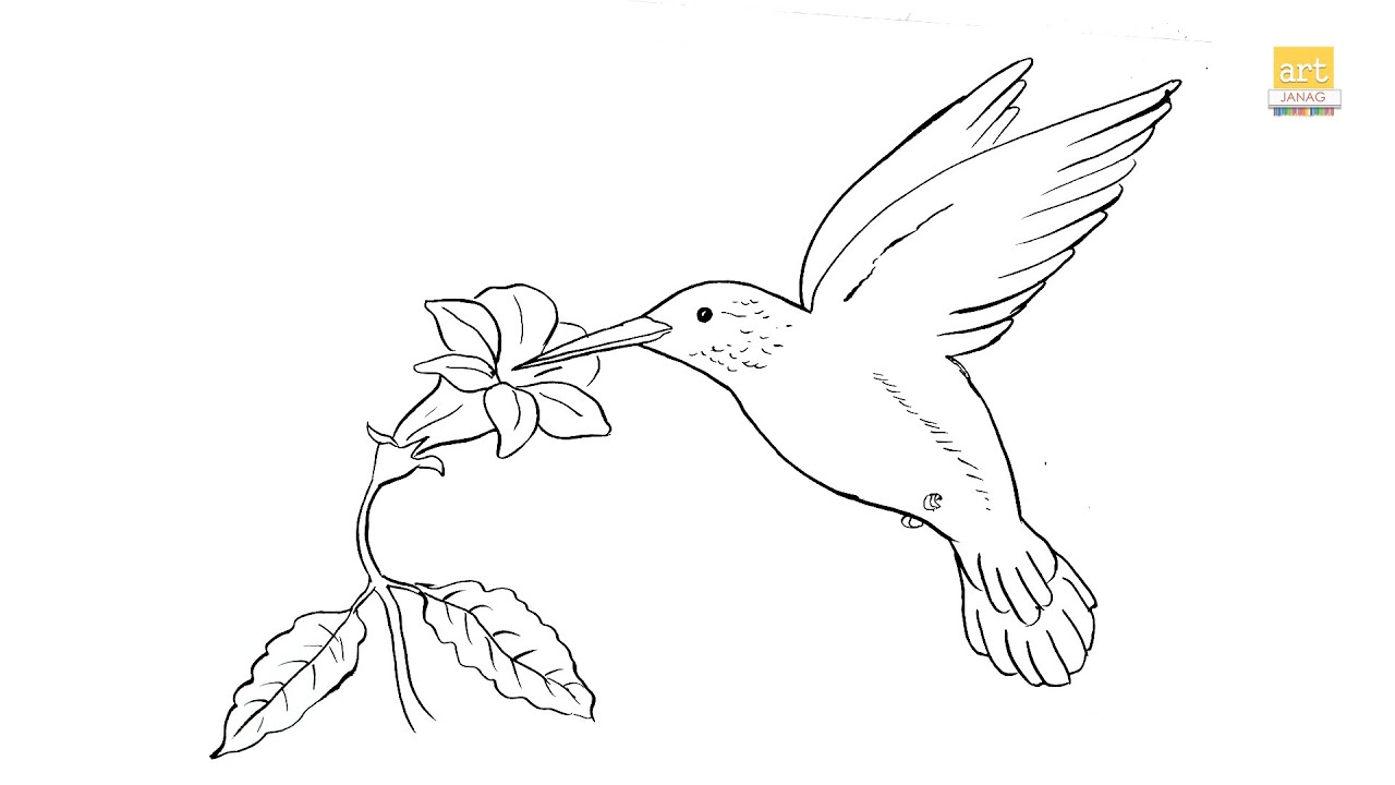 Humming bird drawing easy II How to draw A Humming Bird II part 01 II # ...