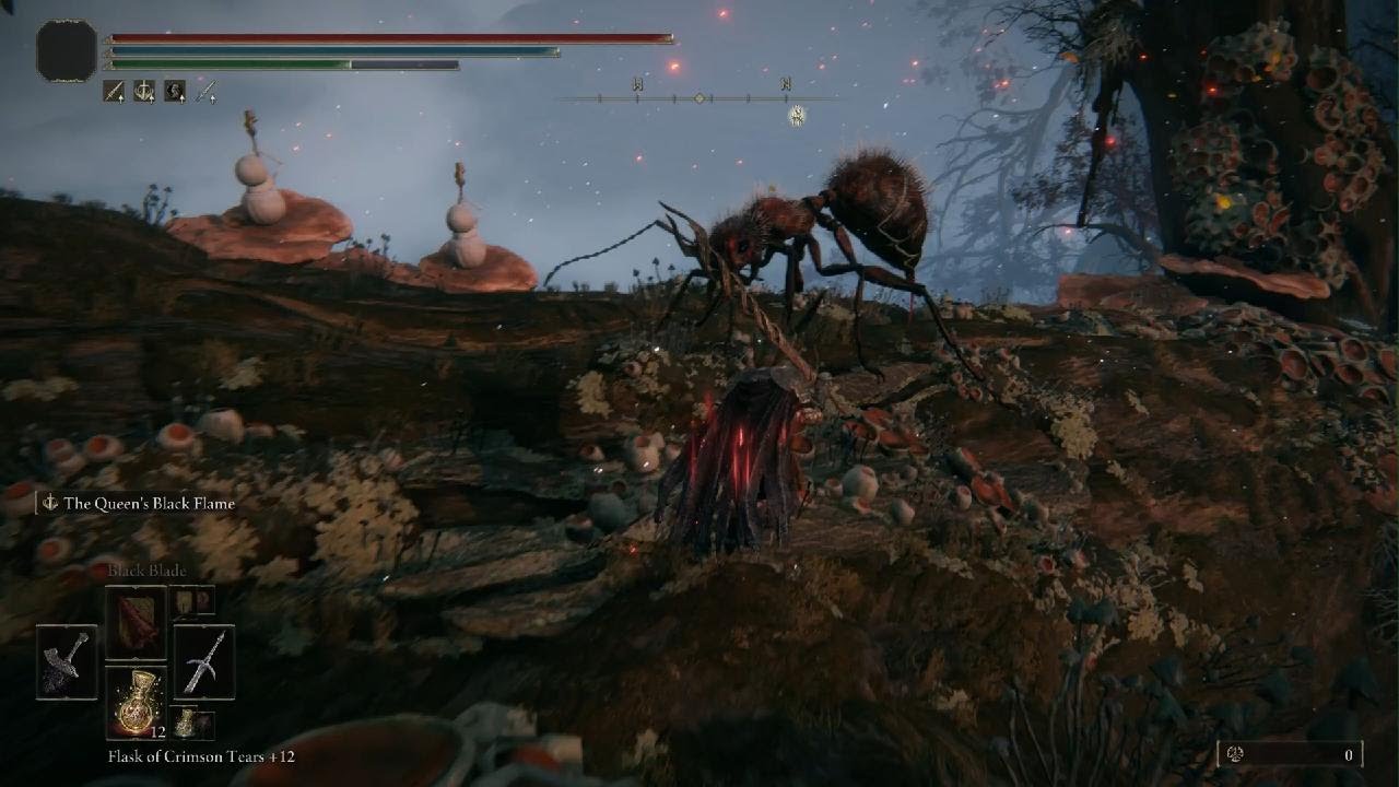 ELDEN RING ants have a grab?? - YouTube