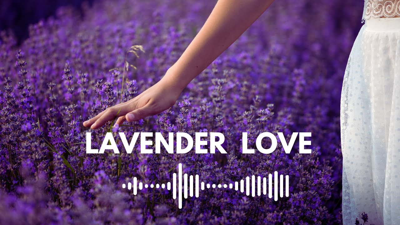 Lavender Love Story: Focus Music Work & Studying Relaxation Calm Motivation Inspiration - YouTube