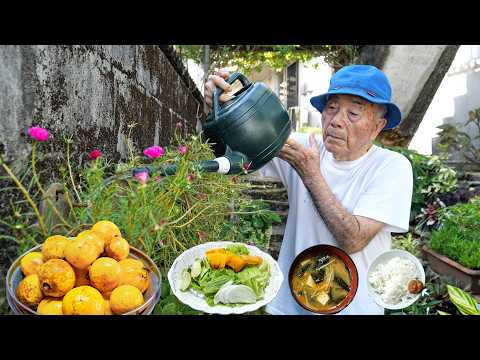 沖縄８８才おじぃの朝ルーティン｜長寿の朝ごはん｜庭仕事｜サンレレライブ練習