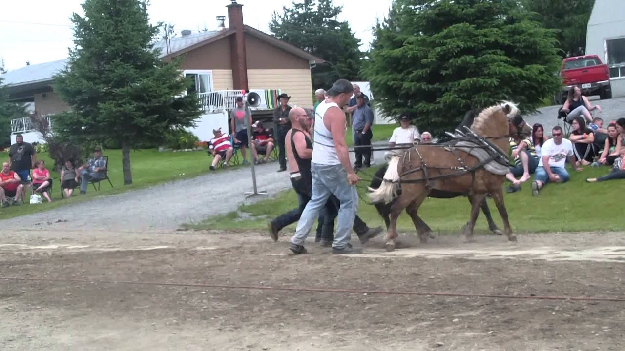 pony pull - YouTube