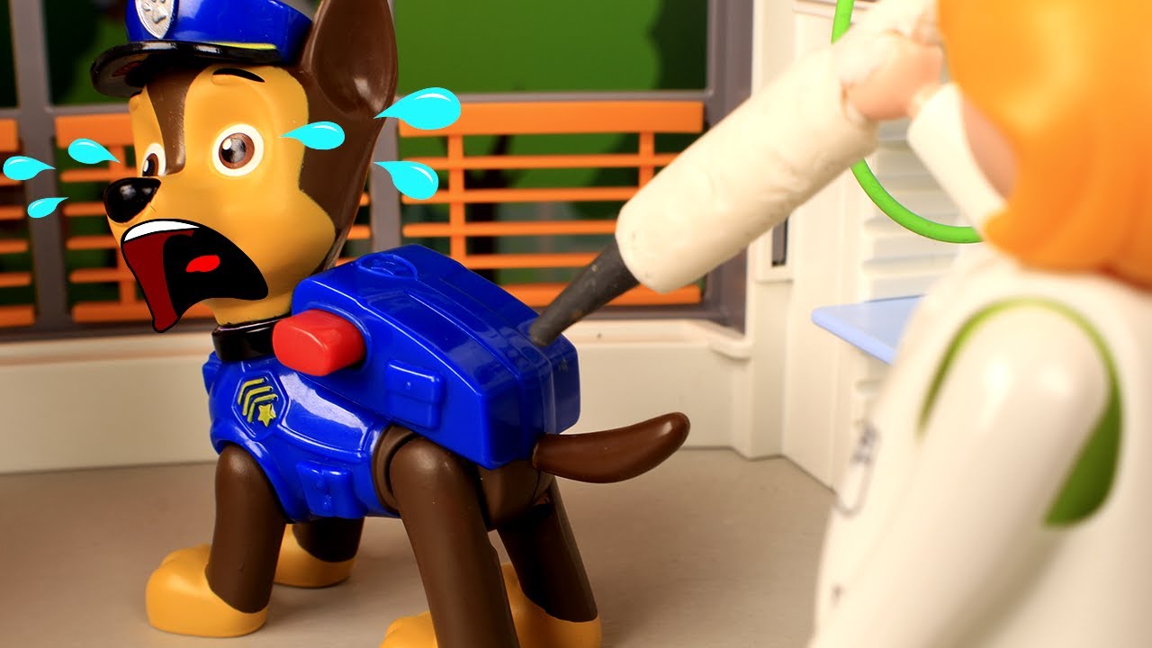 Chase Paw Patrol is sick 💗 Cartoons For Kids - YouTube