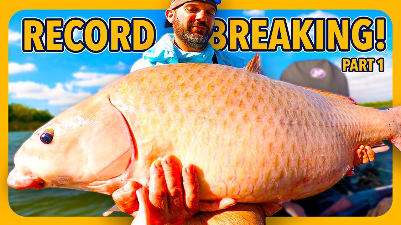The BIGGEST Fish You've NEVER HEARD Of! - YouTube