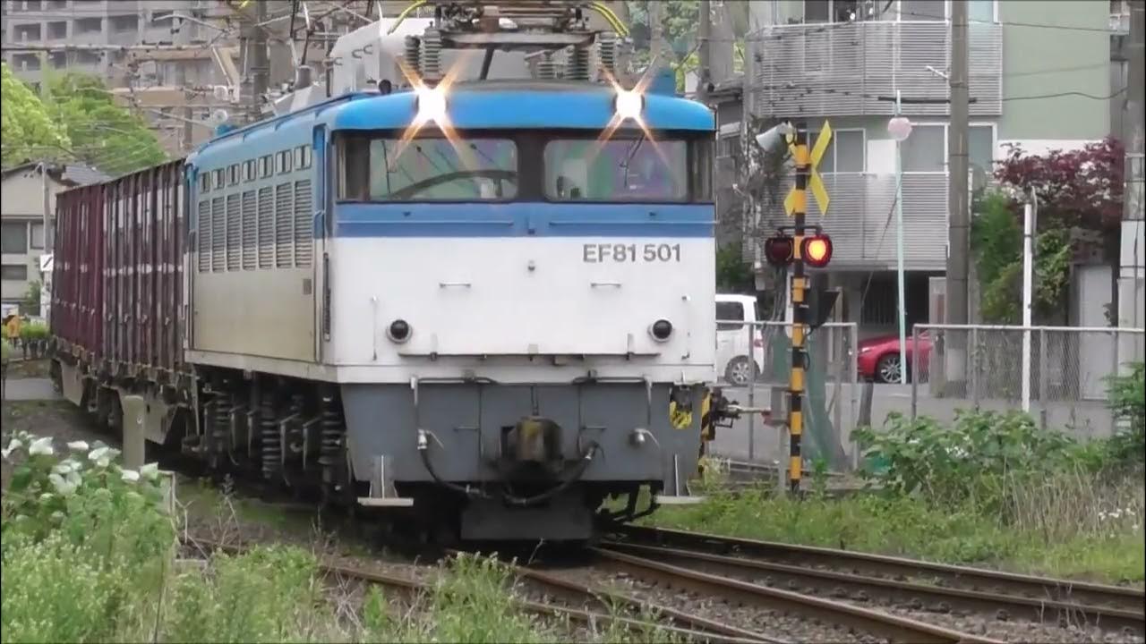 JR貨物 EF81 501形 機関車が牽引する。大型コンテナ多数積載 貨物ターミナルセンターに入線。和泉屋踏切 撮影日2023 4 24 - YouTube