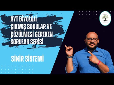 AYT Çıkmış sorular serisi |1| Sinir sistemi #yks2025