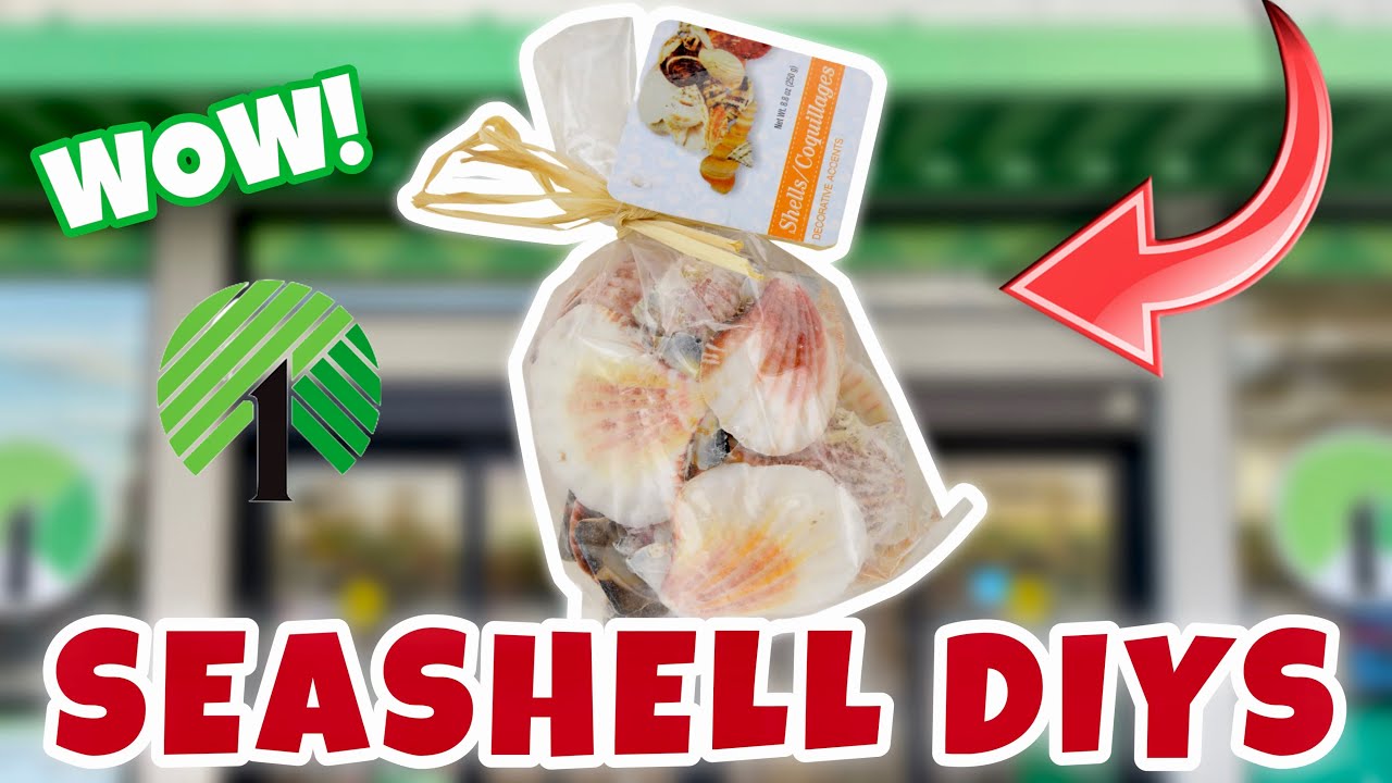 How I Used DOLLAR TREE Seashells To Make Everyday Home Decor DIYS 2024 ...