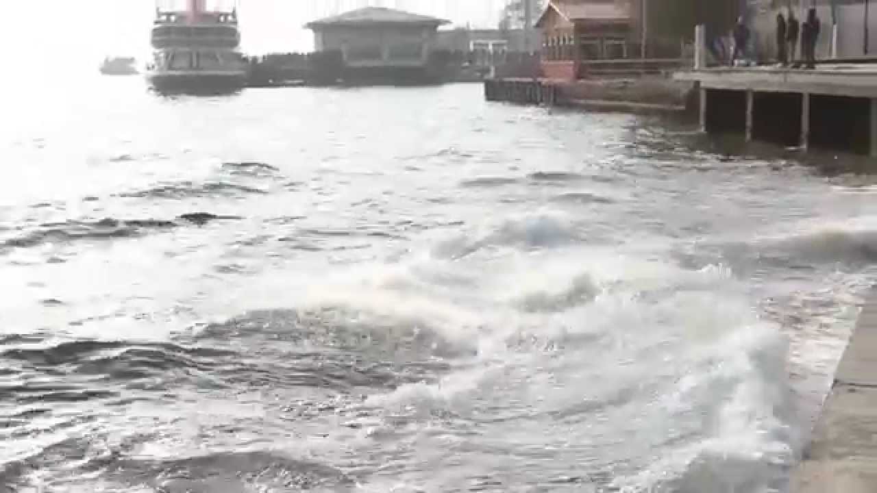 Sea | Seaside - VIDEO STOCK - YouTube