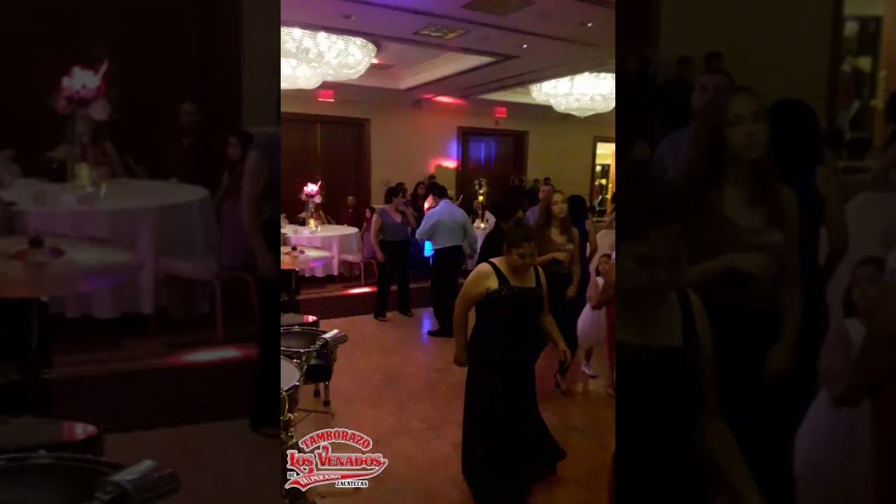 Tamborazo "Los Venados" de Valparaíso Zac. En Chicago il. - YouTube