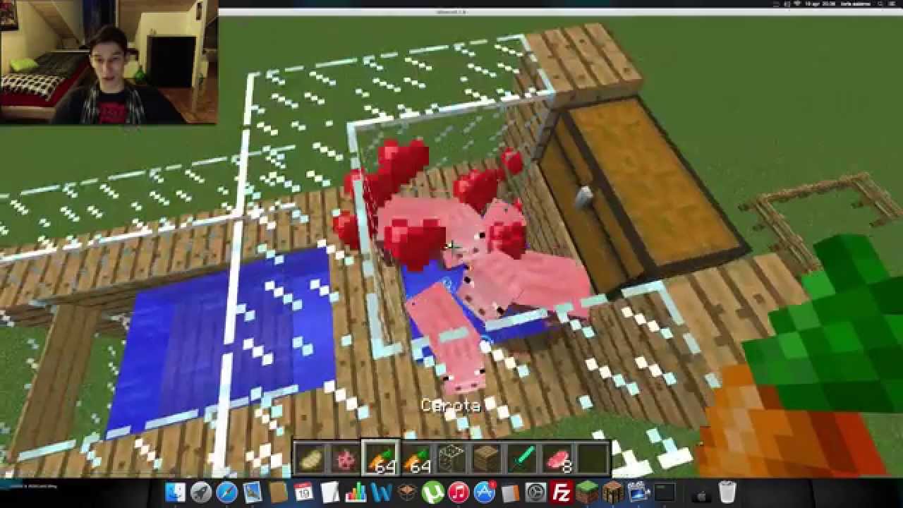 Minecraft - Come fare una farm di MAIALI automatica - YouTube